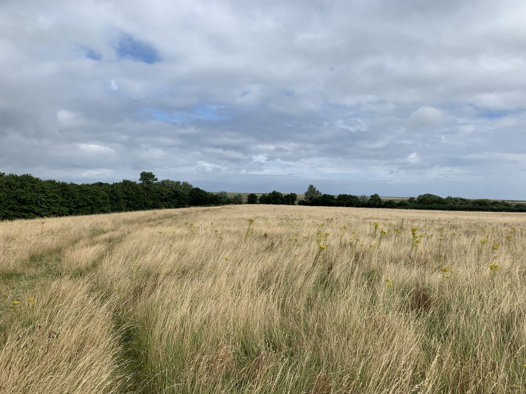 Branodunum (Brancaster) Roman Fort - Roman Britain