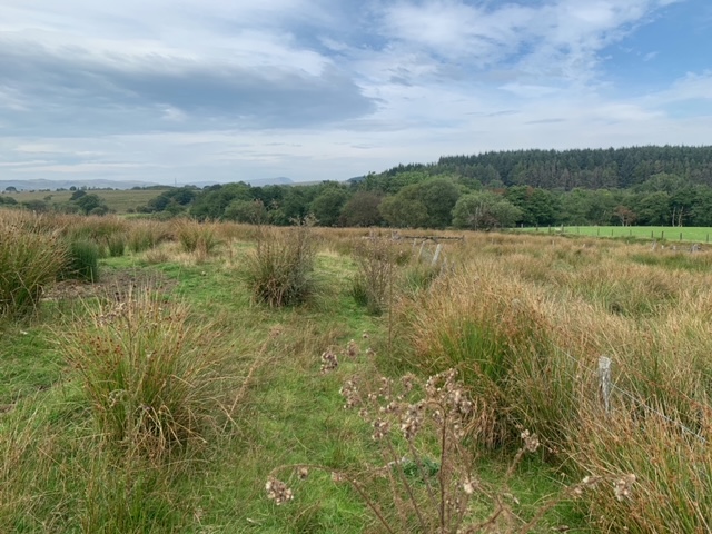 Coelbren Roman Fort - Roman Britain
