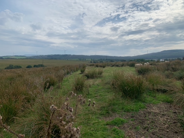Coelbren Roman Fort - Roman Britain