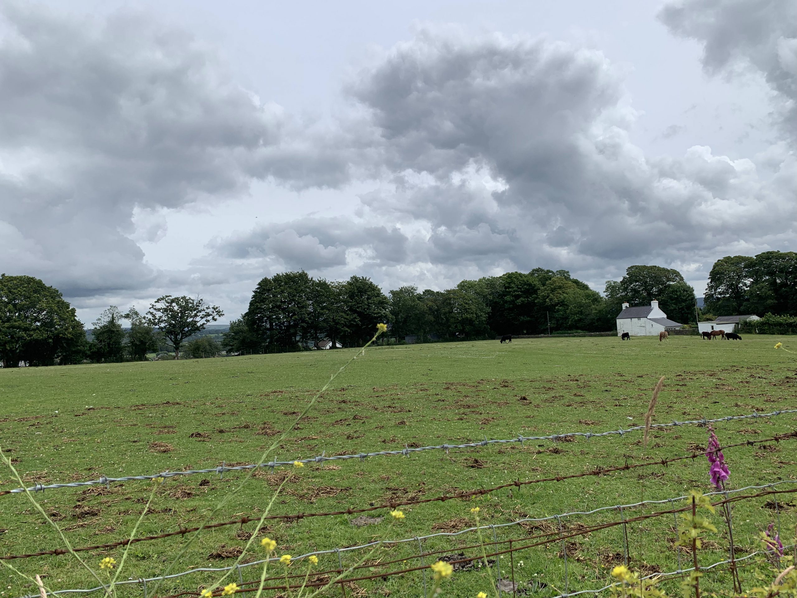 Gelligaer Roman Fort - Roman Britain