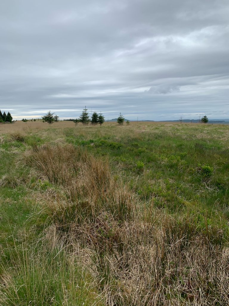 Hirfynydd Ridge Fortlet - Roman Britain