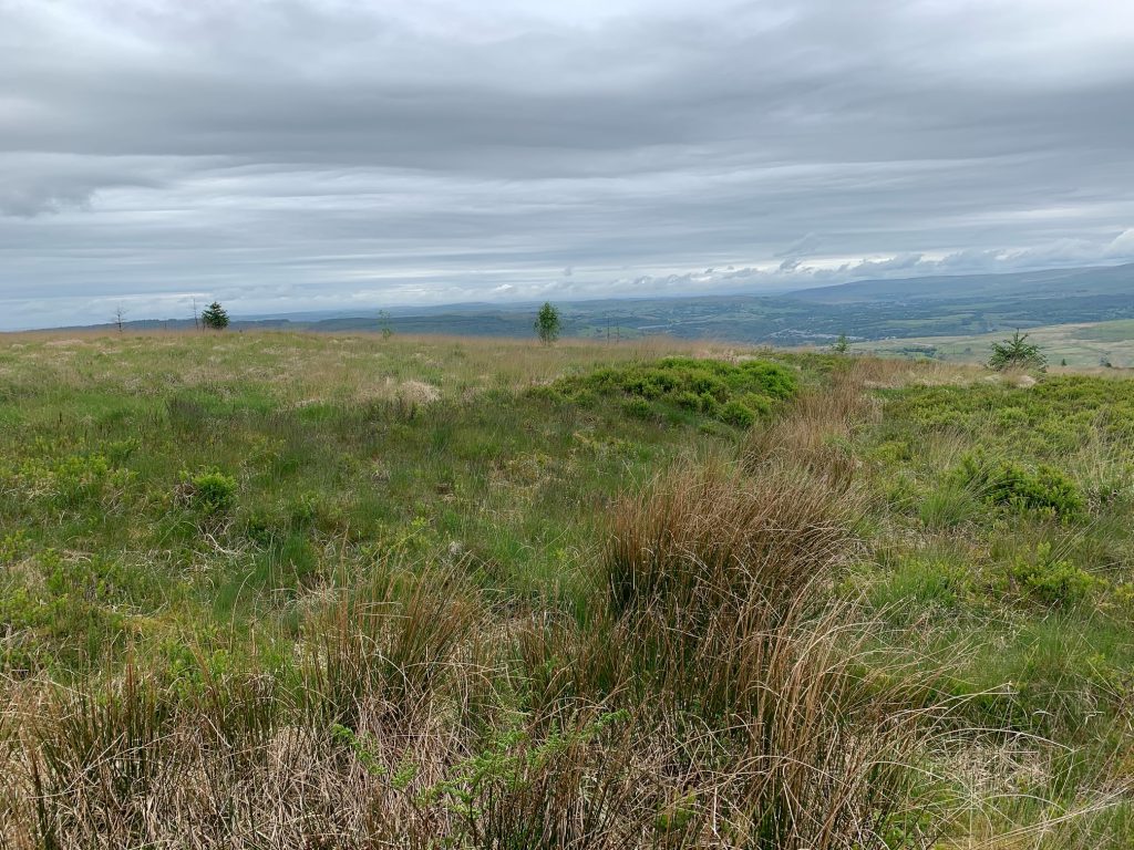 Hirfynydd Ridge Fortlet - Roman Britain