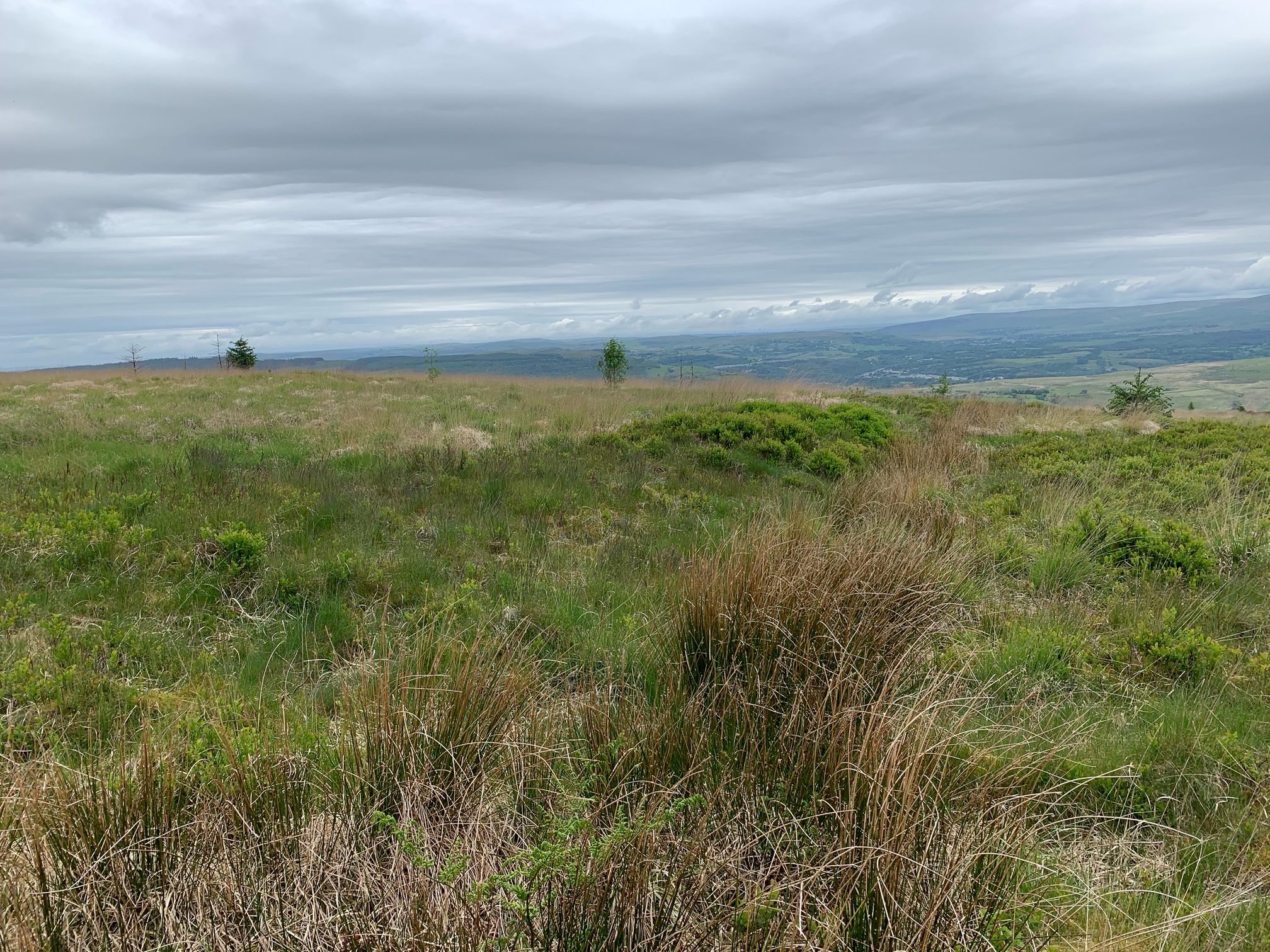 Hirfynydd Ridge Fortlet - Roman Britain