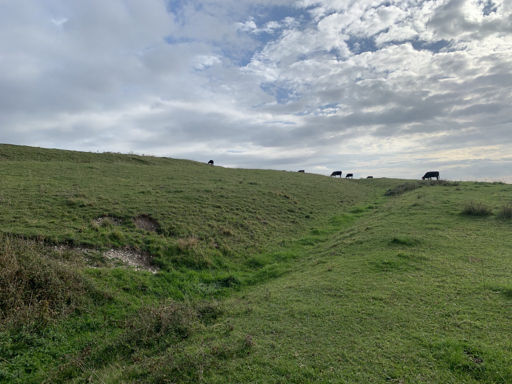 Hod Hill (Hillfort) - Roman Britain