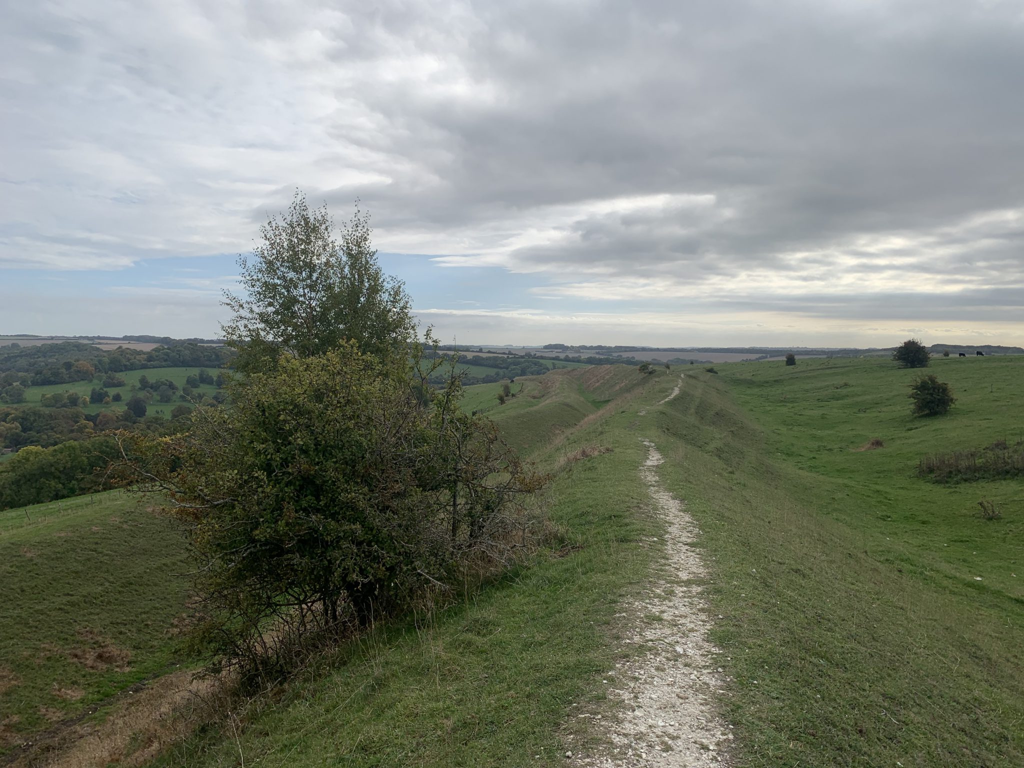 Hod Hill (Hillfort) - Roman Britain