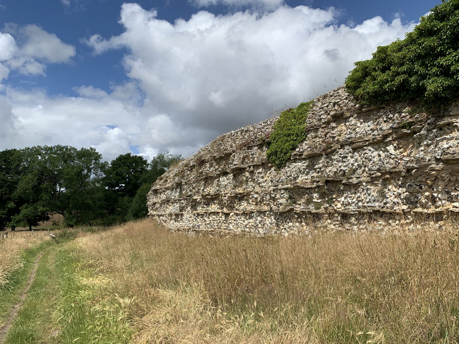 The Development of Roman Towns