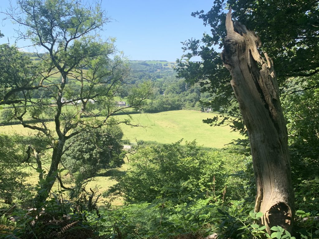 Pumsaint Roman Fort - Roman Britain