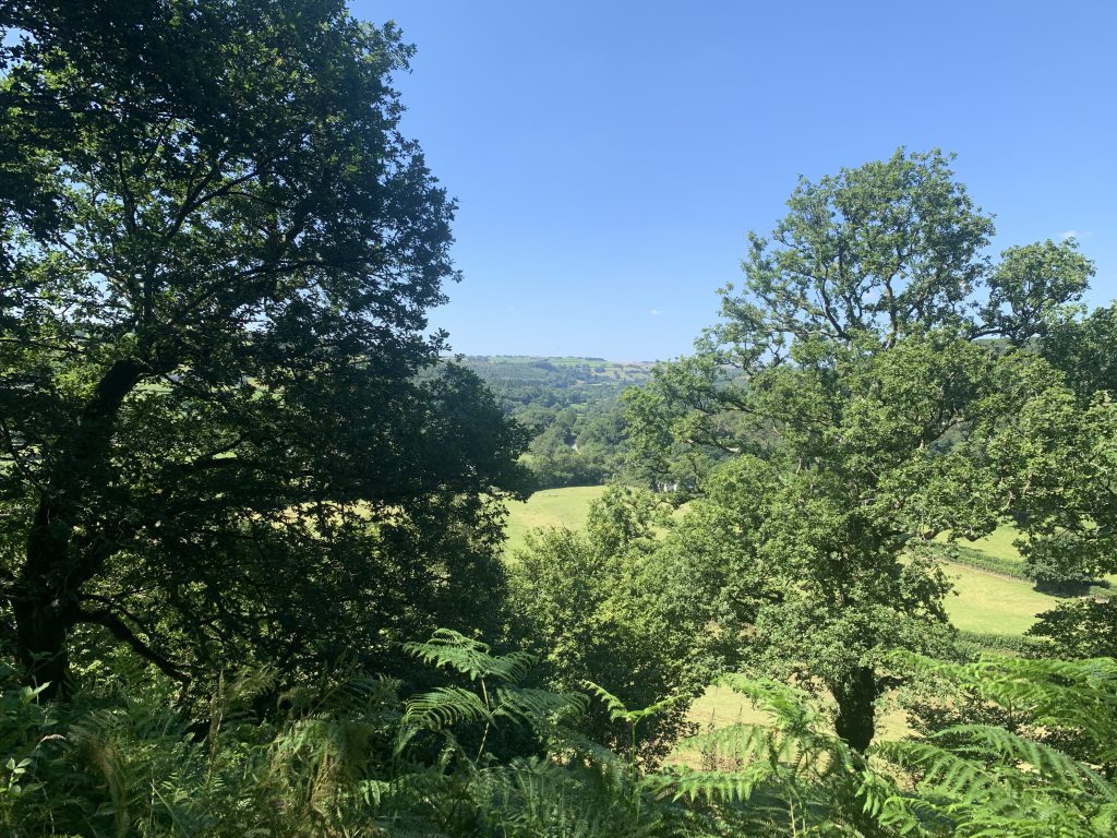 Pumsaint Roman Fort - Roman Britain