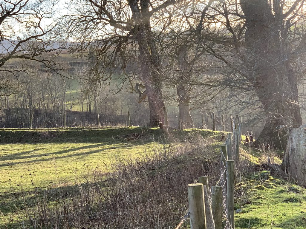 Brecon (Cicucium or Y Gaer) Roman Fort - Roman Britain