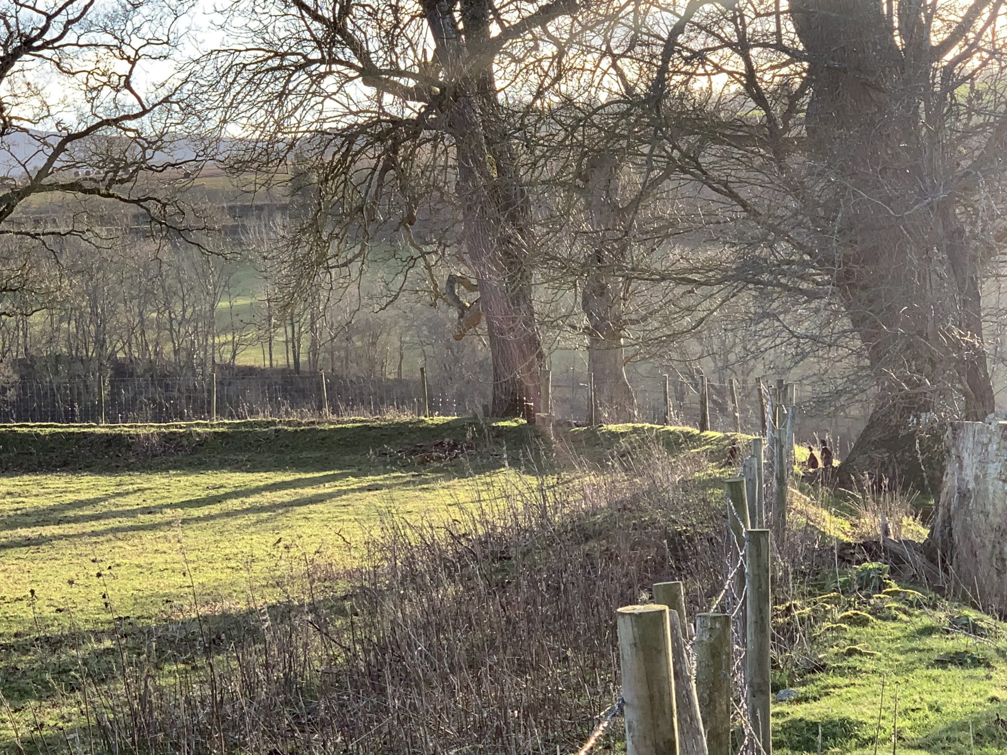 Brecon (Cicucium or Y Gaer) Roman Fort - Roman Britain