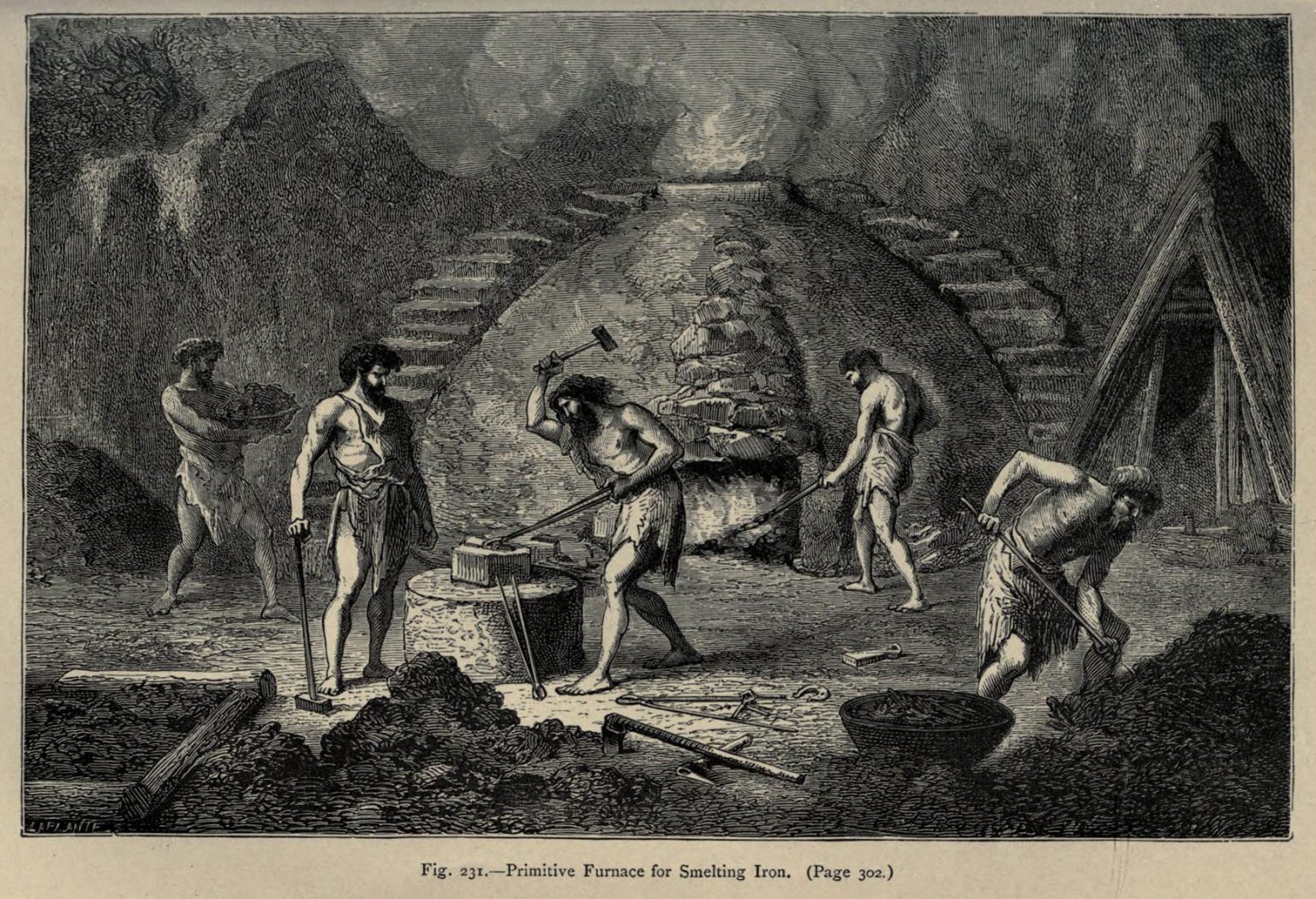 The Celts and Celtic Life