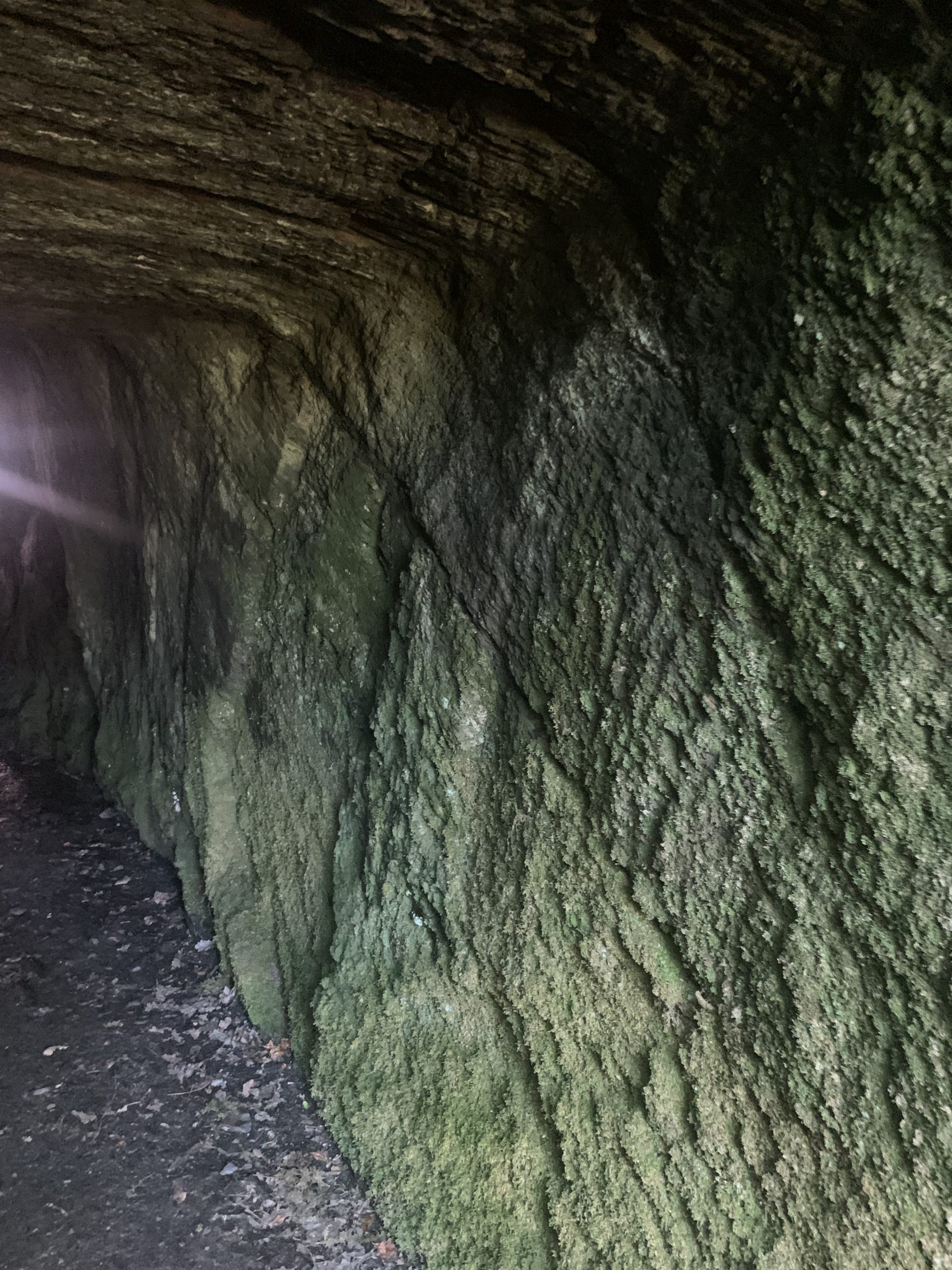 Dolaucothi Roman Mine - Roman Britain