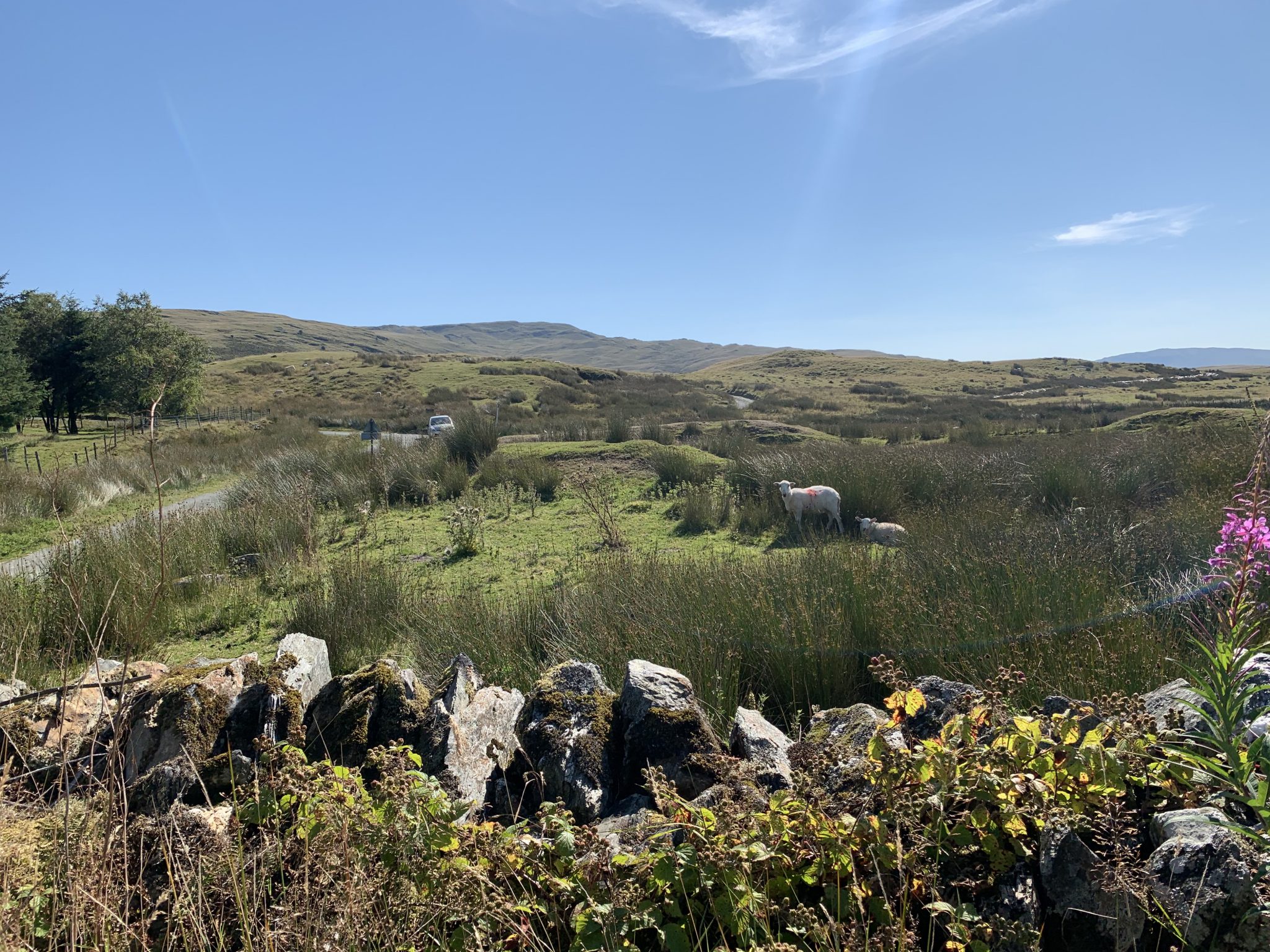 Tomen Y Mur Arena or Amphitheatre - Roman Britain