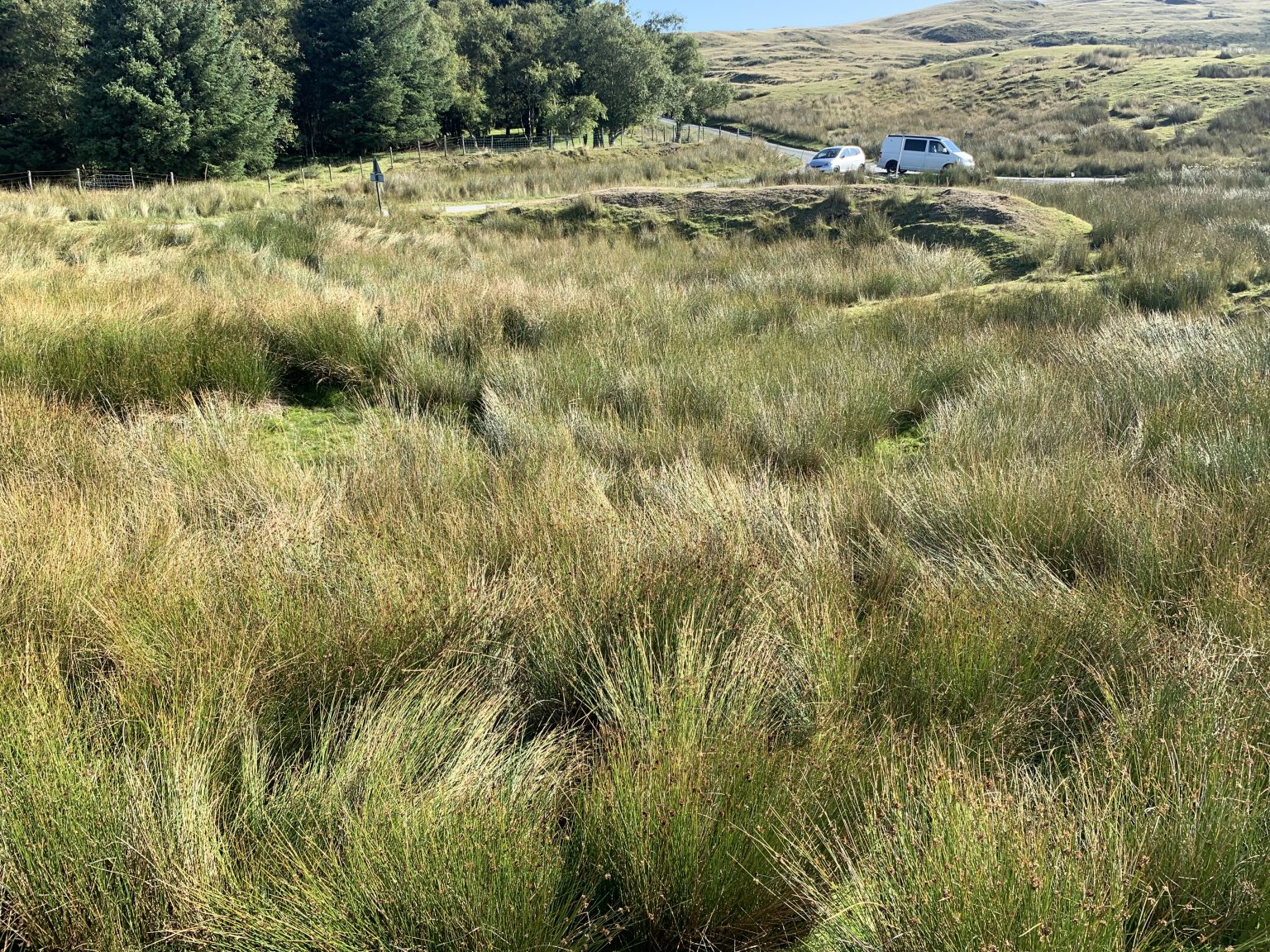 Tomen Y Mur Arena or Amphitheatre - Roman Britain