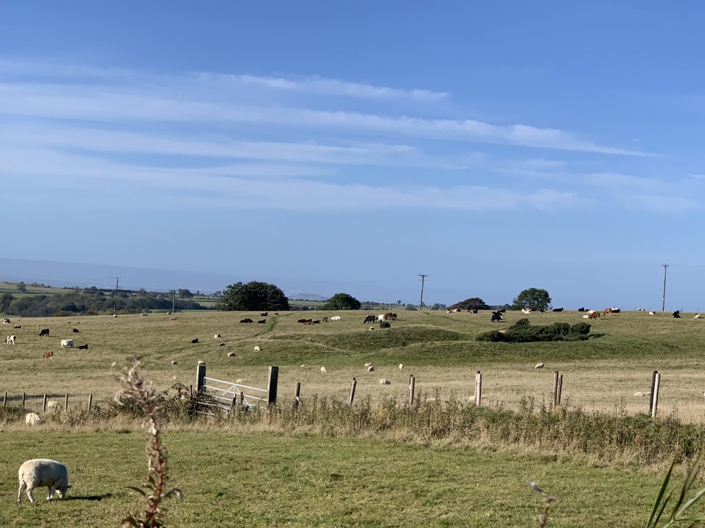 Charterhouse Amphitheatre - Roman Britain