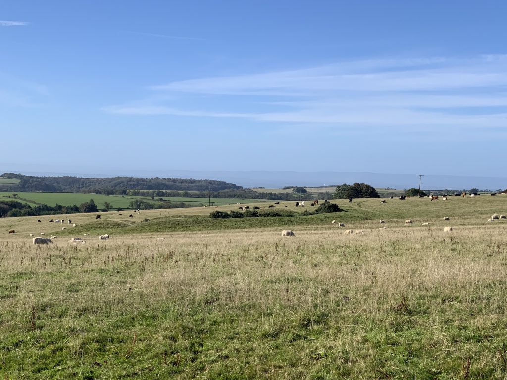 Charterhouse Amphitheatre - Roman Britain
