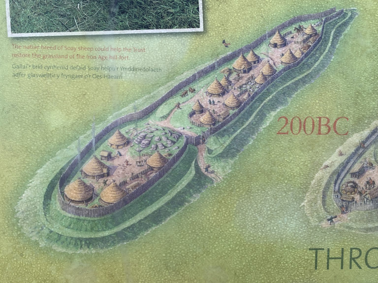 Coed Craig Ruperra - Roman Britain